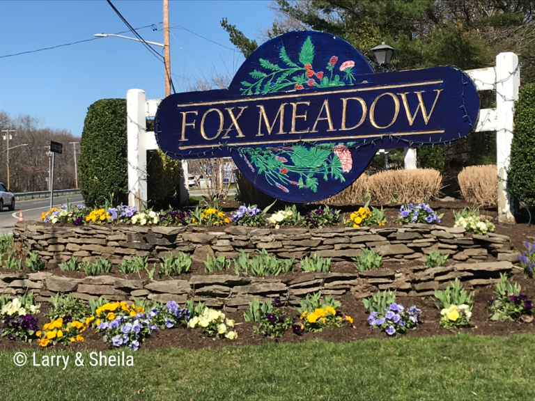 Fox Meadow Subdivision in Port Jefferson Station New York – Suffolk Experts